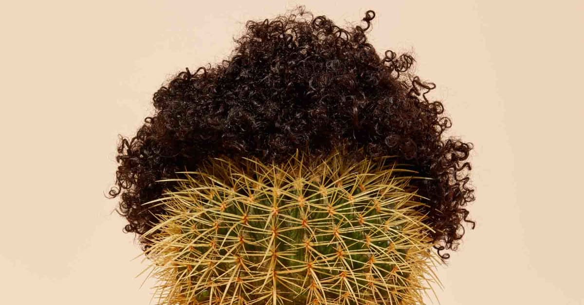 Can You Make Topical Finasteride at Home? | hims