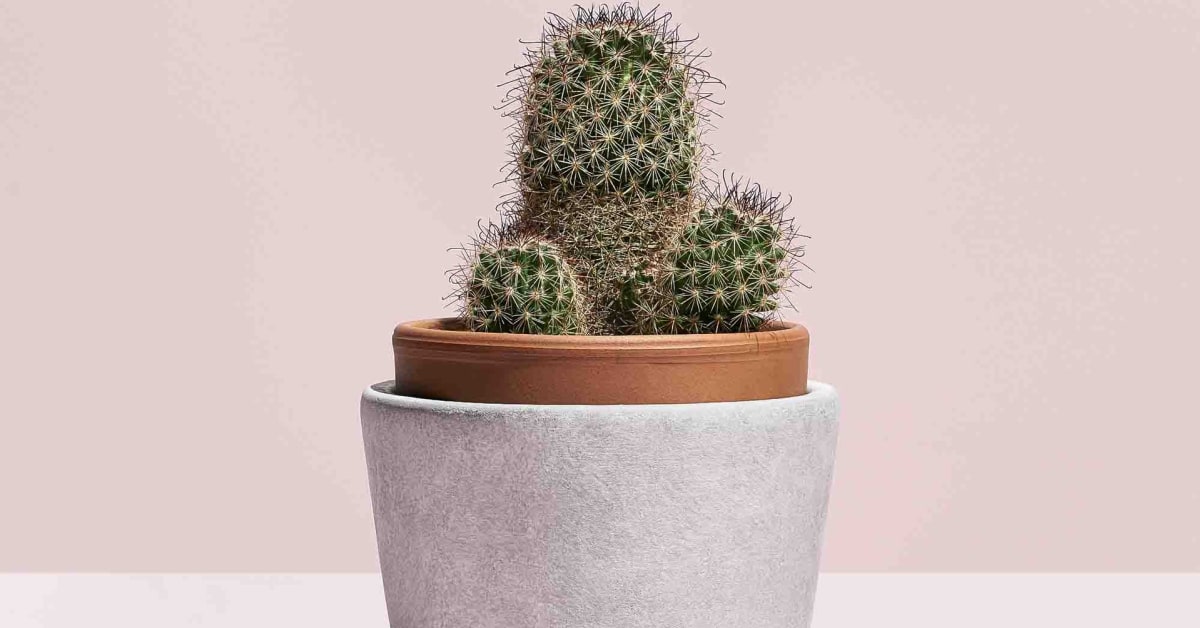 How Much Does Stendra® Cost? | hims